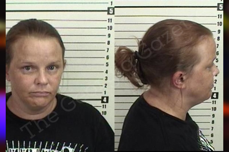 Amy Tindale — Camden County Jail Bookings