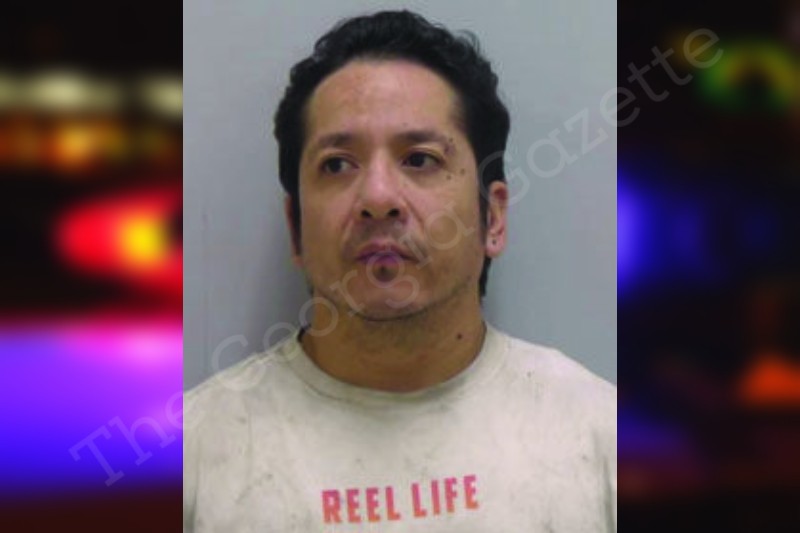 Brian Udarbe — Bartow County Jail Bookings