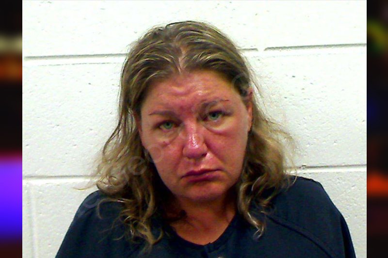 Jaclyn Vanderborg — Bulloch County Jail Bookings