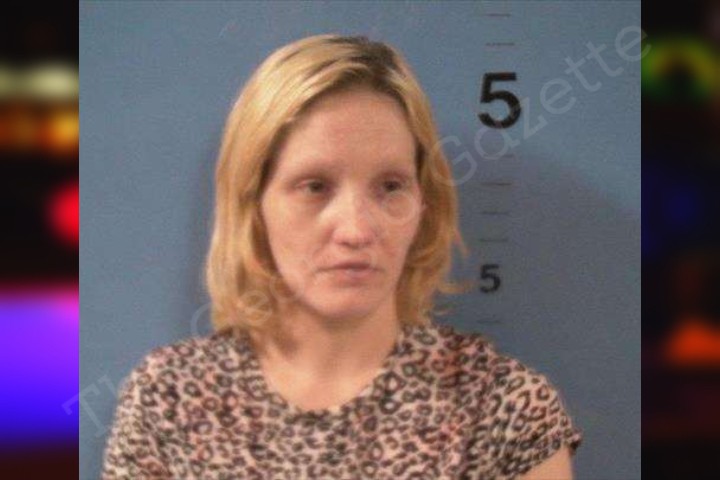 Lindsey Walters — Monroe County Jail Bookings