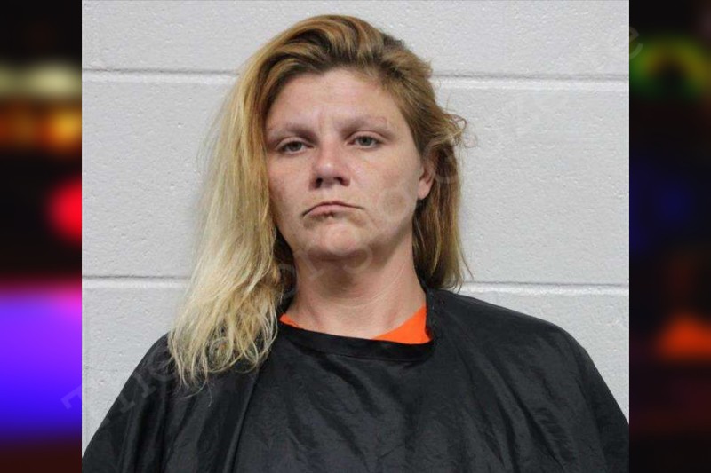 Brandy Watson — Habersham County Jail Bookings
