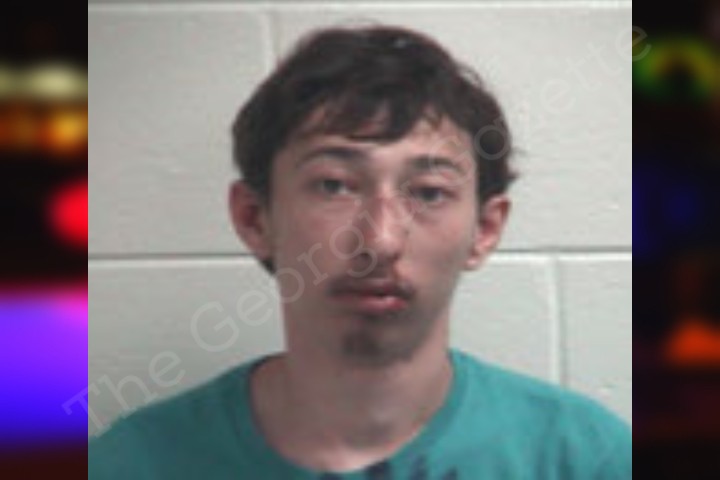 Steven Worcester — Henry County Jail Bookings