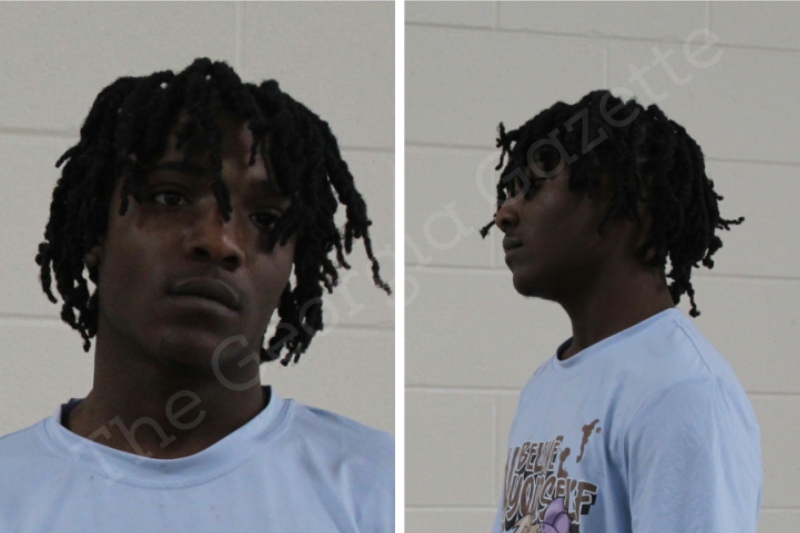 Devin Washington — Houston County Jail Bookings
