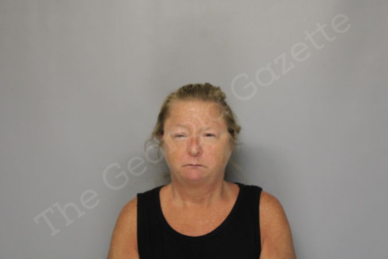 Renee York — Hall County Jail Bookings