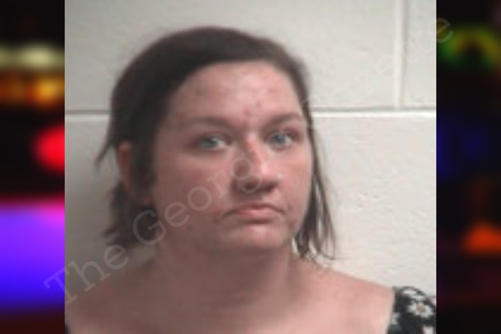 Amy Young — Henry County Jail Bookings