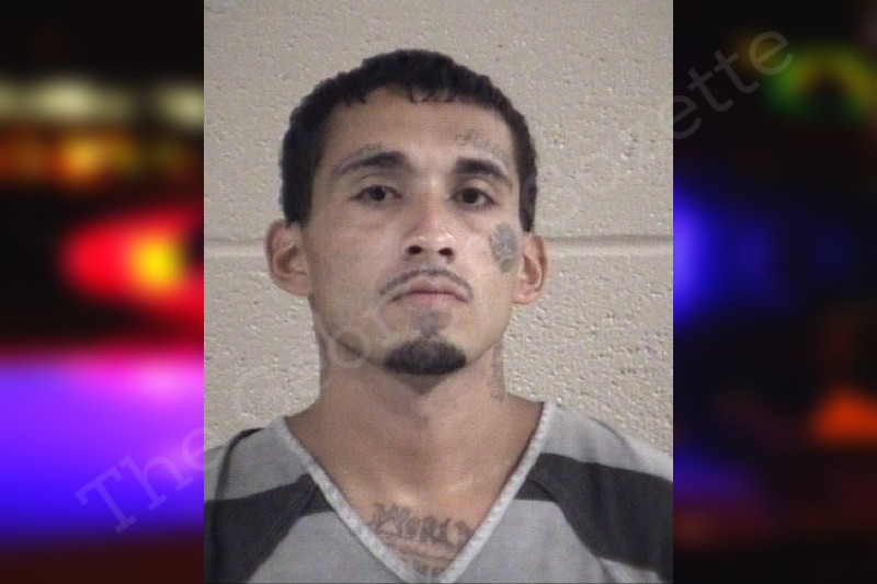 Alex Zamora — Whitfield County Jail Bookings