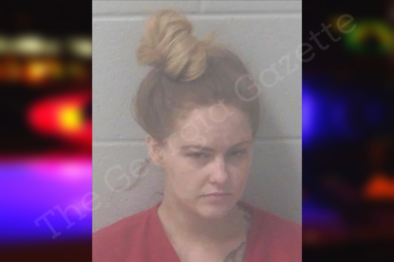 Ashley Armistead — Newton County Jail Bookings