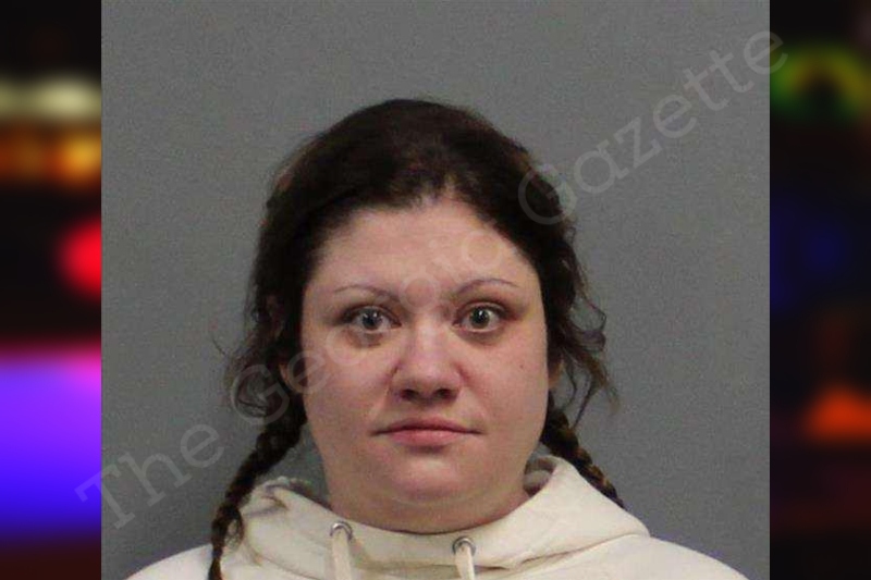 Emily Anderson — White County Jail Bookings