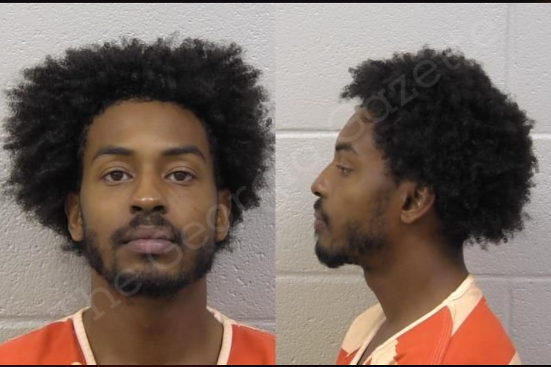 Malik Austin — Paulding County Jail Bookings