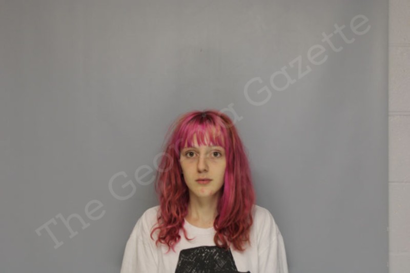 Elaina Barfield — Hall County Jail Bookings