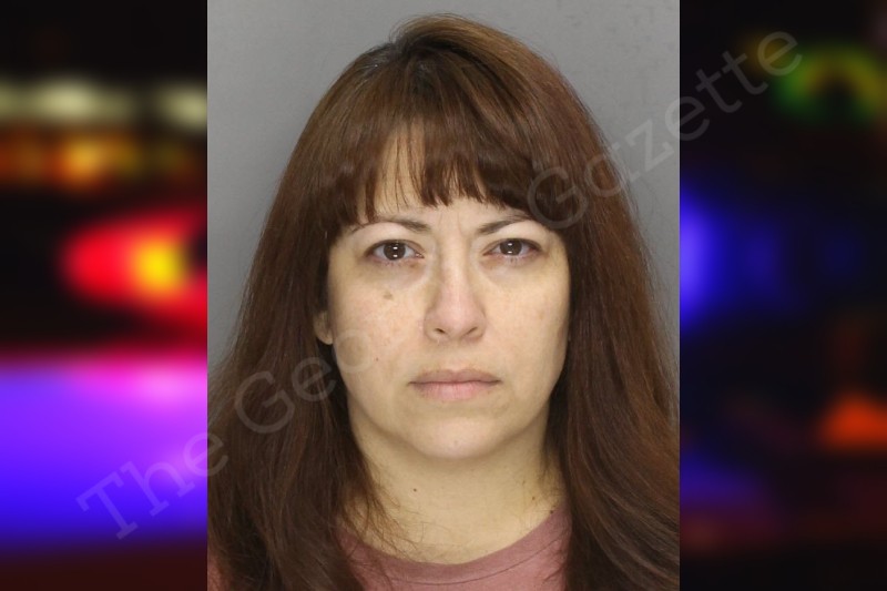 Elizabeth Brisbane — Cobb County Jail Bookings