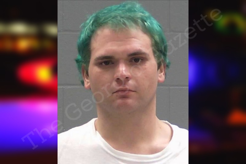 Nicholas Brookins — Baldwin County Jail Bookings