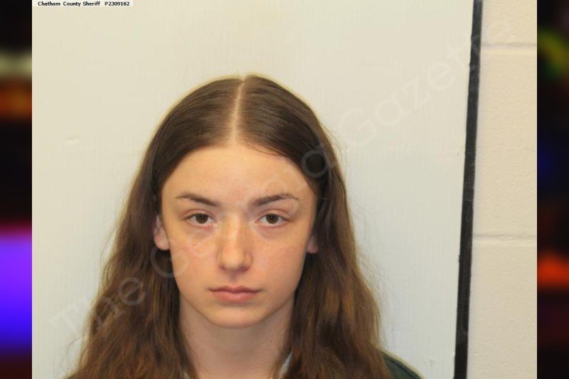 Georgia Bailey — Chatham County Jail Bookings