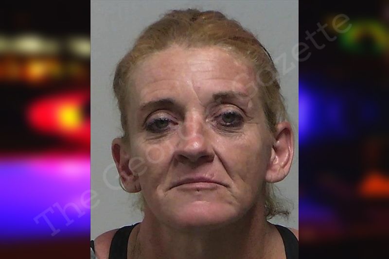 Crystal Barnes — Tift County Jail Bookings