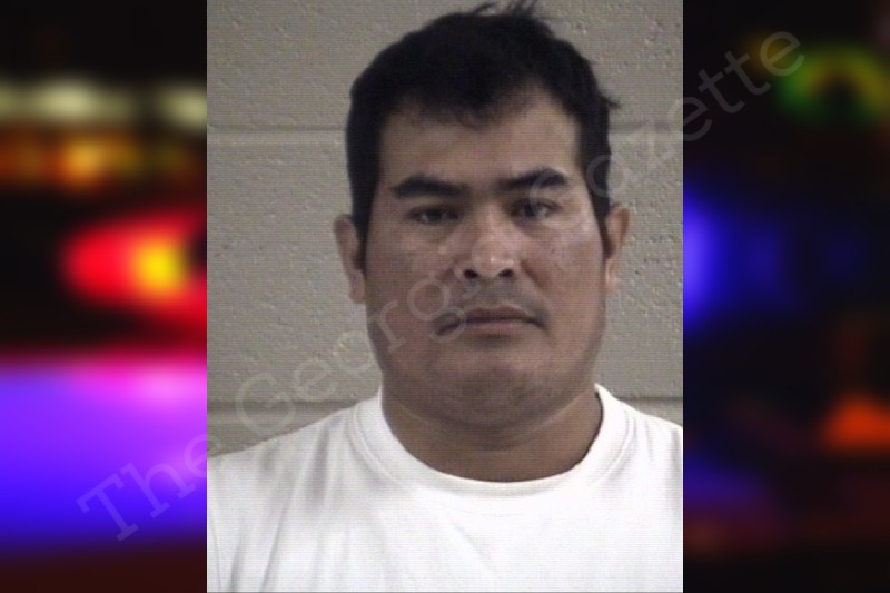 Davilmor Belly-Hernandez — Whitfield County Jail Bookings