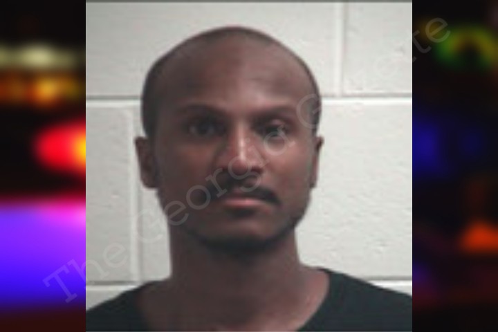 Russell Blake — Henry County Jail Bookings