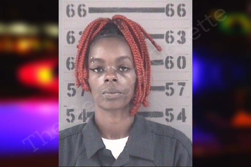Shunteria Brown — Dougherty County Jail Bookings