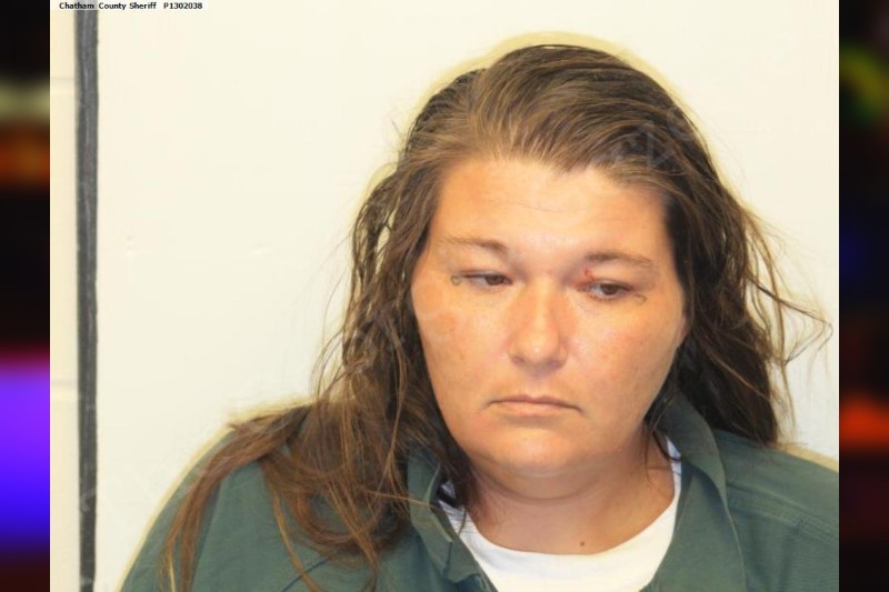 Shena Burton — Chatham County Jail Bookings