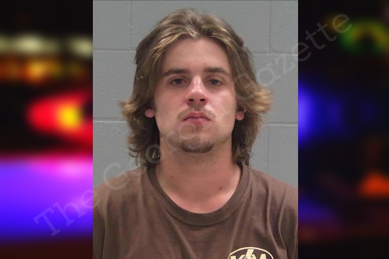 Elijah Chastain — Baldwin County Jail Bookings