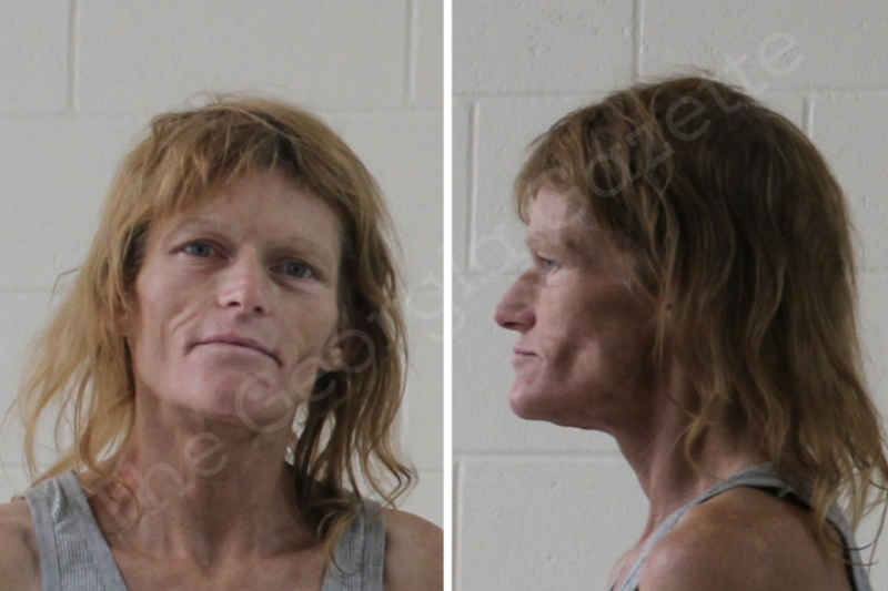 Tracy Carleton — Houston County Jail Bookings