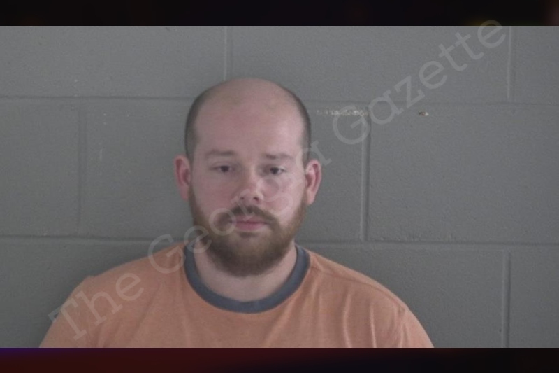 Matthew Carter — Brantley County Jail Bookings