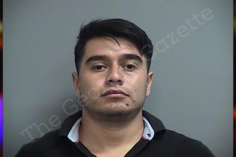 Leonardo Castillo Arcos — Effingham County Jail Bookings