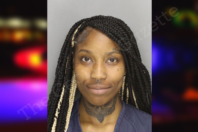 Kristen Davis – The Georgia Gazette