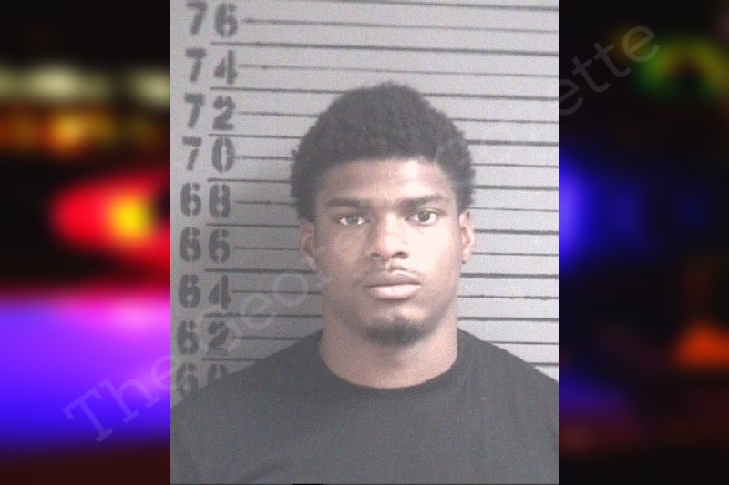 David Dillard — Dougherty County Jail Bookings