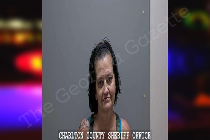 Misty Downs — Charlton County Jail Bookings