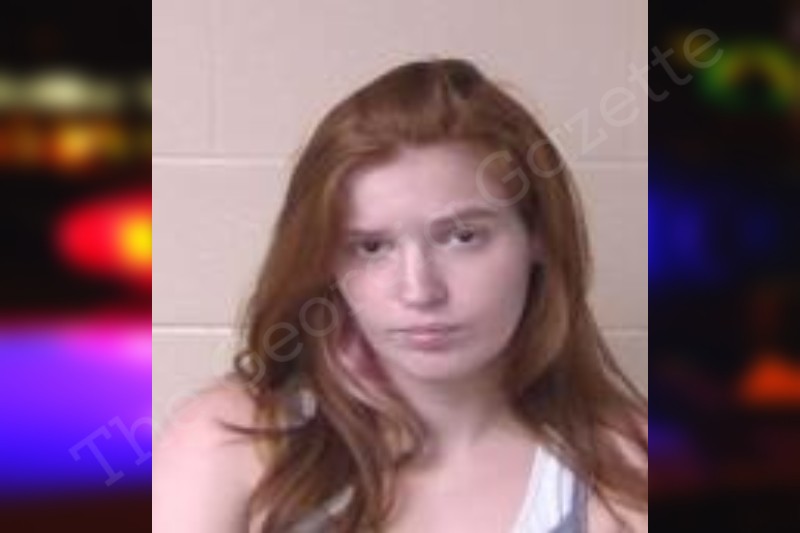 Heather Dunn — Walker County Jail Bookings