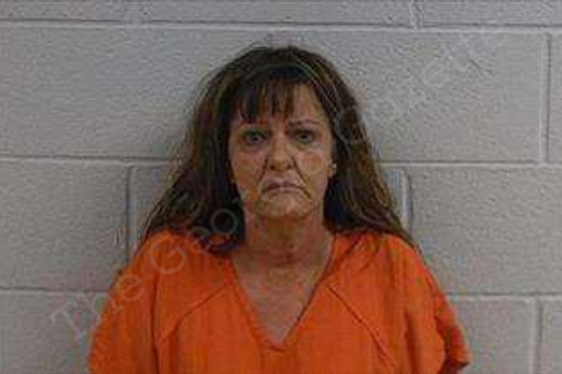 Deborah Flowers — Polk County Jail Bookings