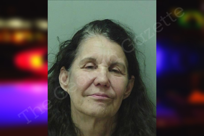 Susan Freed — Towns County Jail Bookings