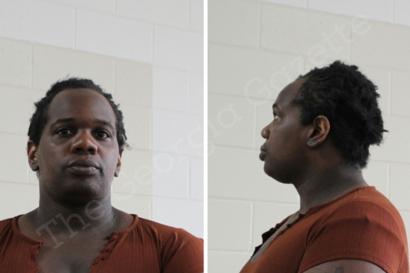 Michael Freeman — Houston County Jail Bookings