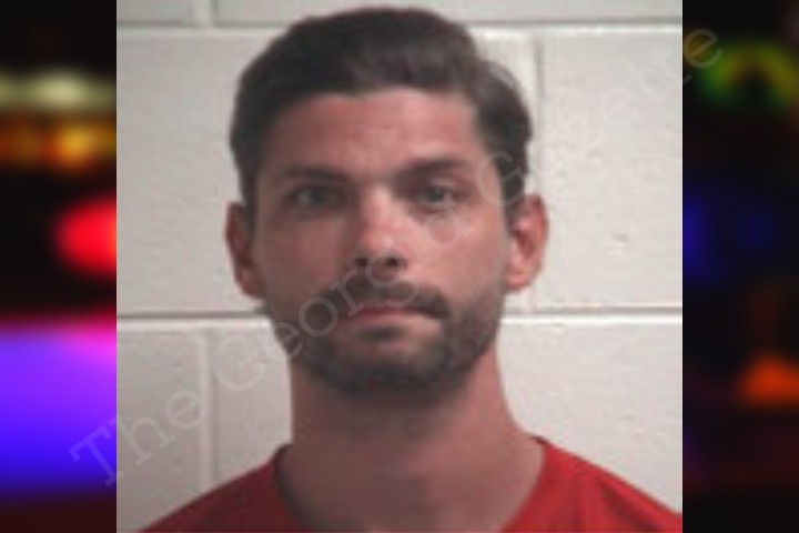 Brandon Graby — Henry County Jail Bookings