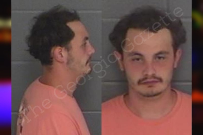 Chance Greene — Barrow County Jail Bookings