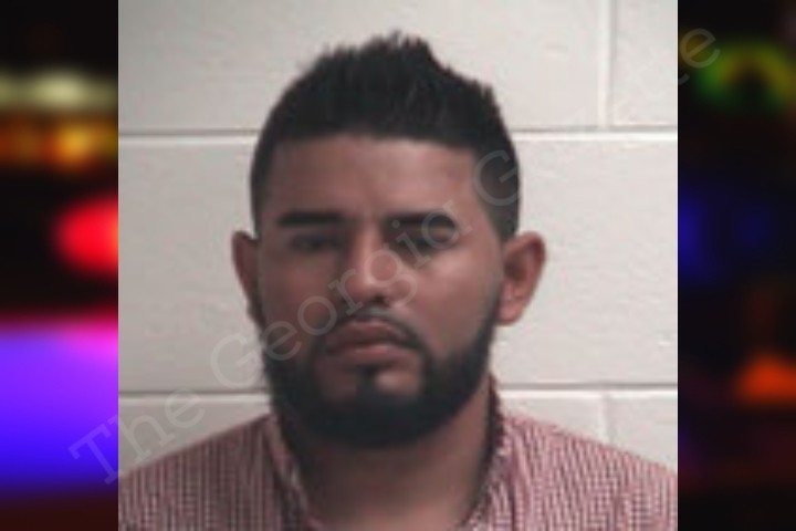 Maynor Hernandez-Munoz — Henry County Jail Bookings