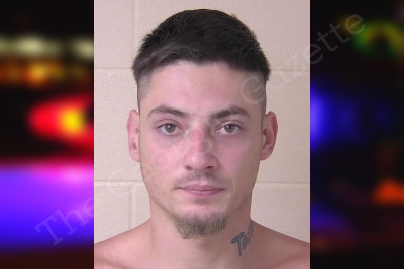 Terry Hamby — Walker County Jail Bookings