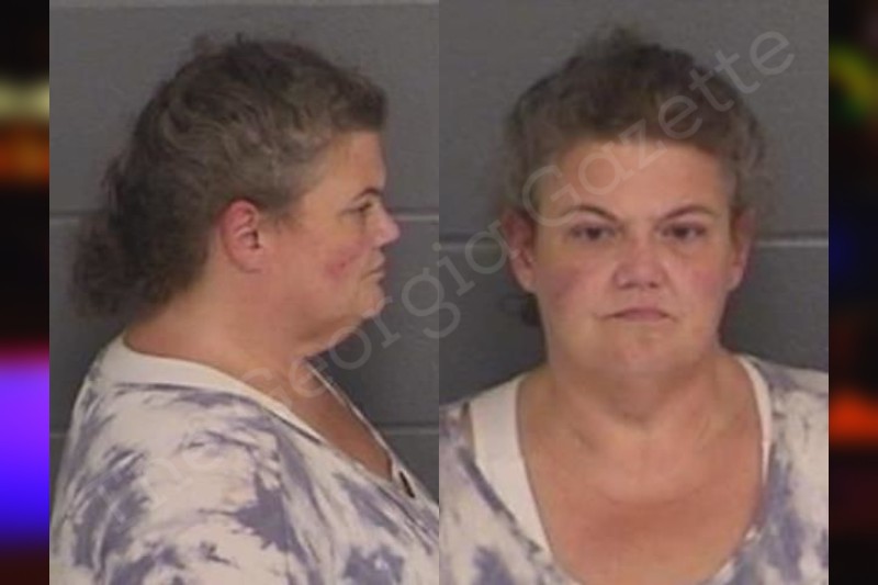 Amelia Hanson — Barrow County Jail Bookings