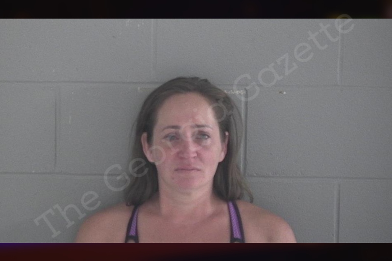 Crystal Hunter — Brantley County Jail Bookings