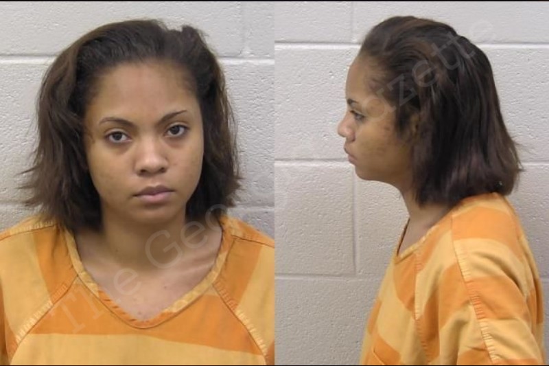 Adalia Ingram-Gamez — Paulding County Jail Bookings