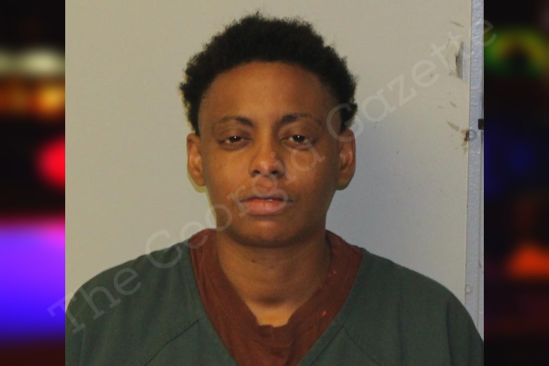 Melvina Griffin — McIntosh County Jail Bookings