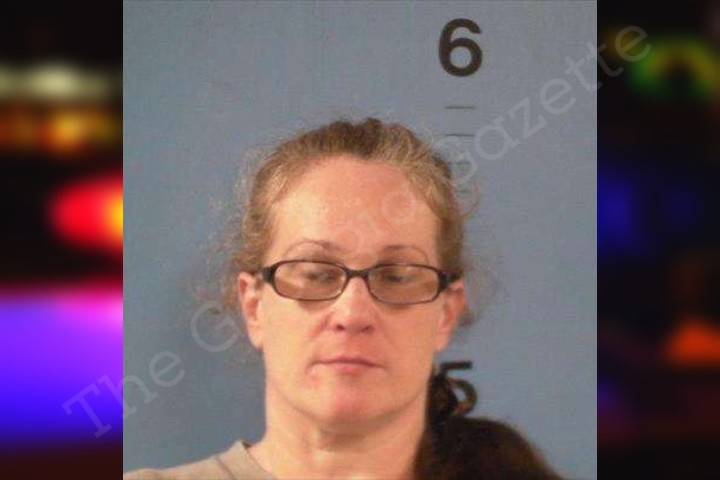 Stephanie Johnson — Monroe County Jail Bookings