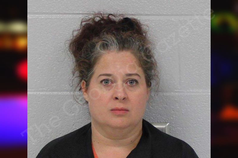 Sandi Joiner - Carroll County