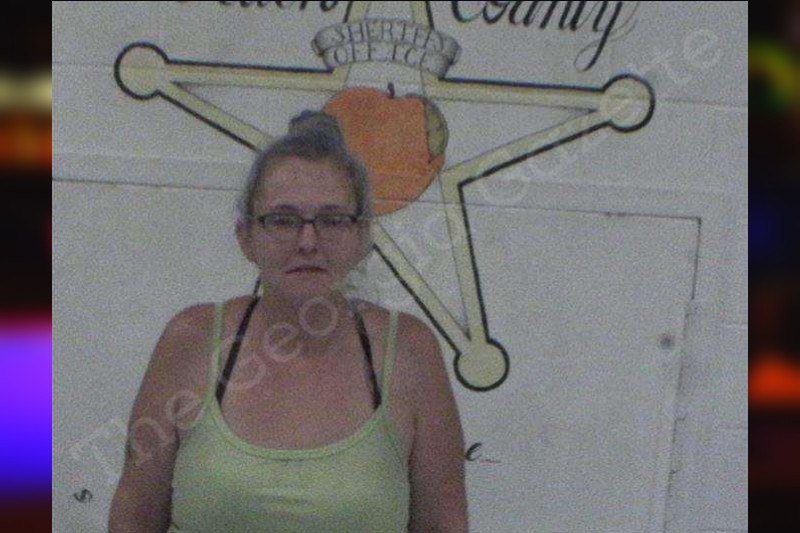 Janice King — Peach County Jail Bookings