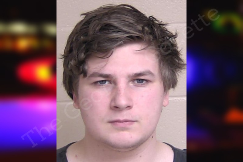 Joseph King — Walker County Jail Bookings