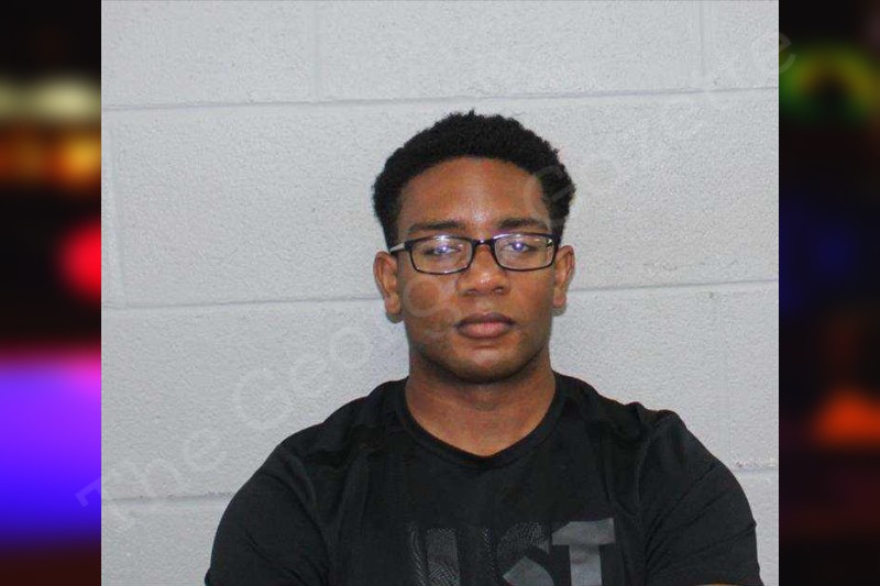 Dallis Ladner — Harris County Jail Bookings