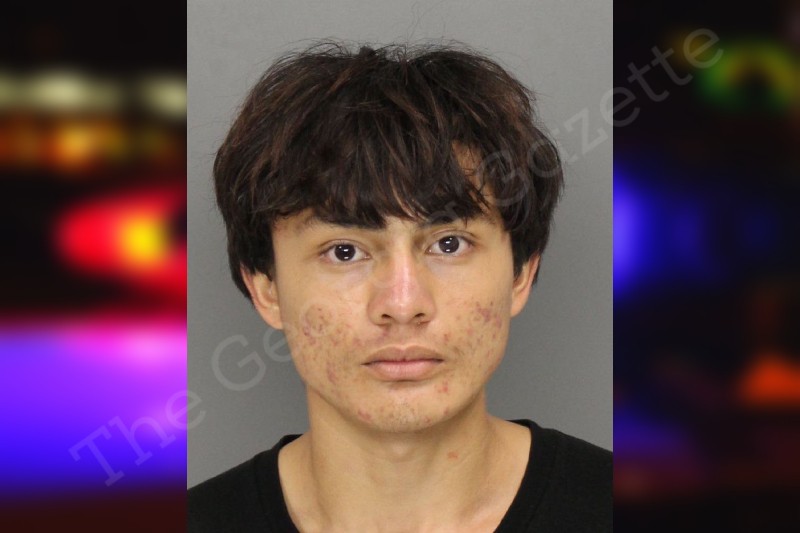 Sebastian Lopez — Cobb County Jail Bookings
