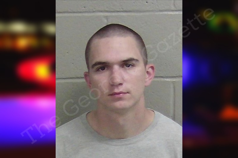 Tyler Lacks — Wayne County Jail Bookings