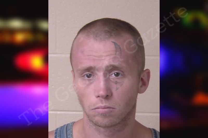 Andrew Lambert - Walker County