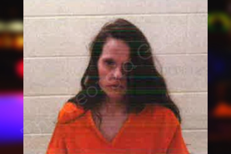 Jamie Lee — Pickens County Jail Bookings